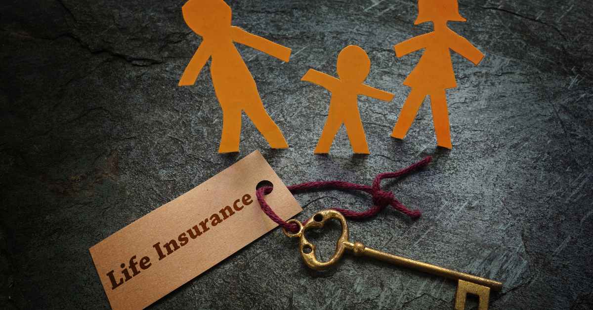 Whole Life Vs Term Life Important Term And Whole Life Insurance Pros