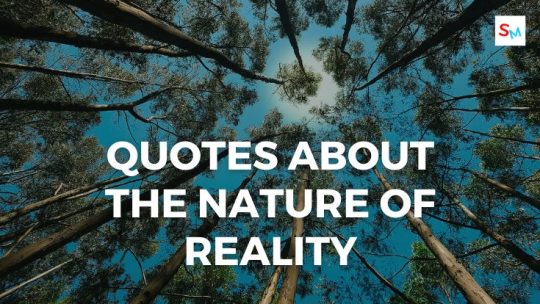 180 Thought-Provoking Reality Quotes to Expand Your Understanding of Life